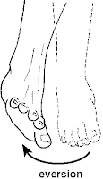 Physiotherapy and Pilates: ANKLE SPRAINS