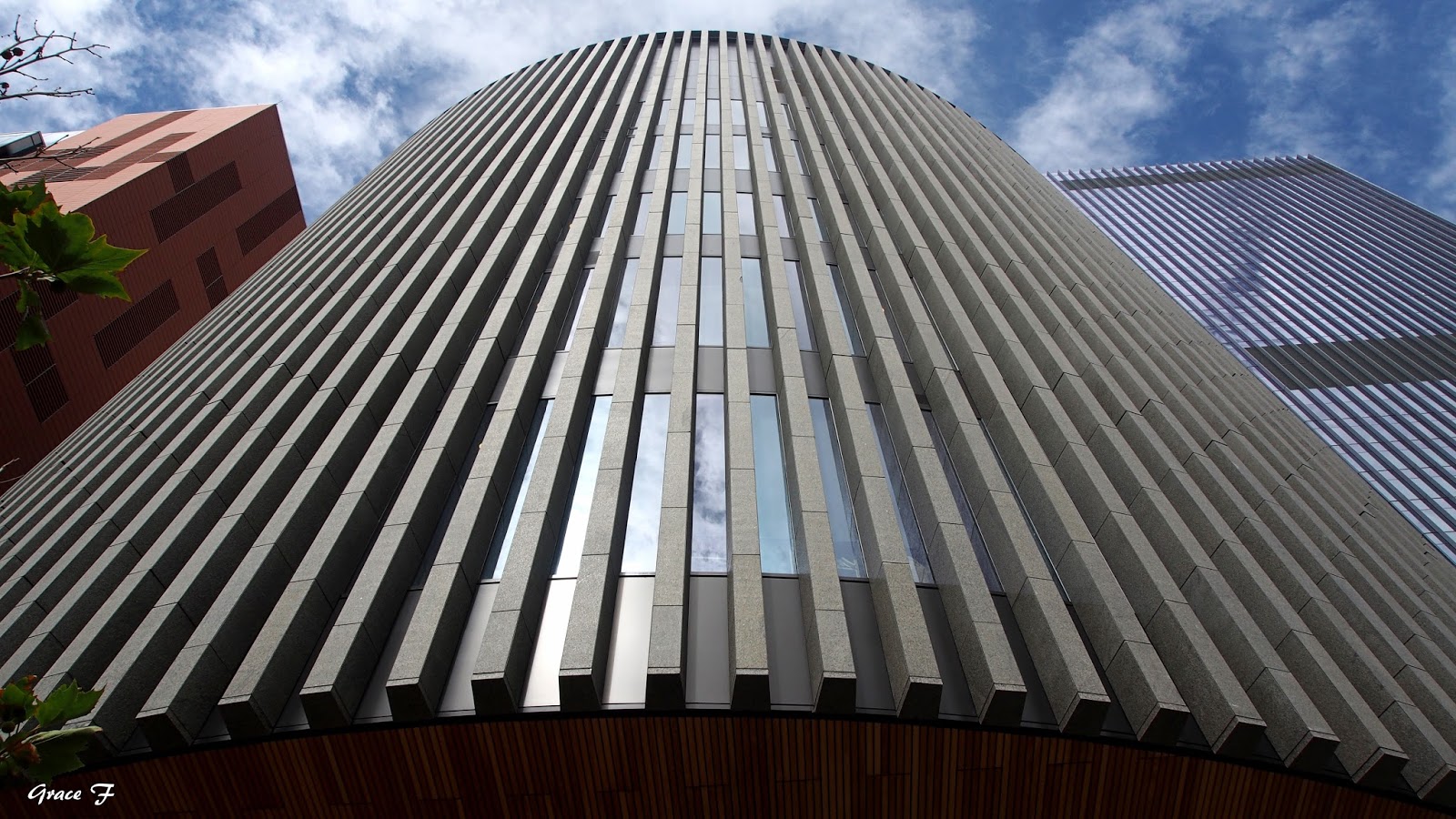 Perth Daily Photo : City of Perth Library...
