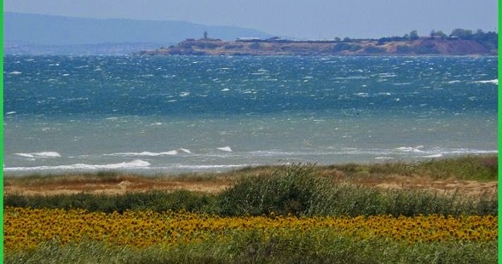 Briç Oyunu: Eksperler İçin Puppet Stayman