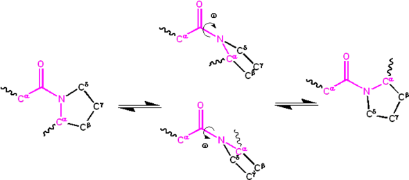 World of Biochemistry (blog about biochemistry): Peptide bond