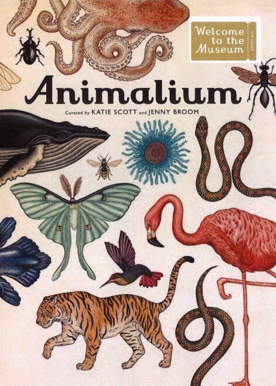Kids' Book Review: Review: Animalium