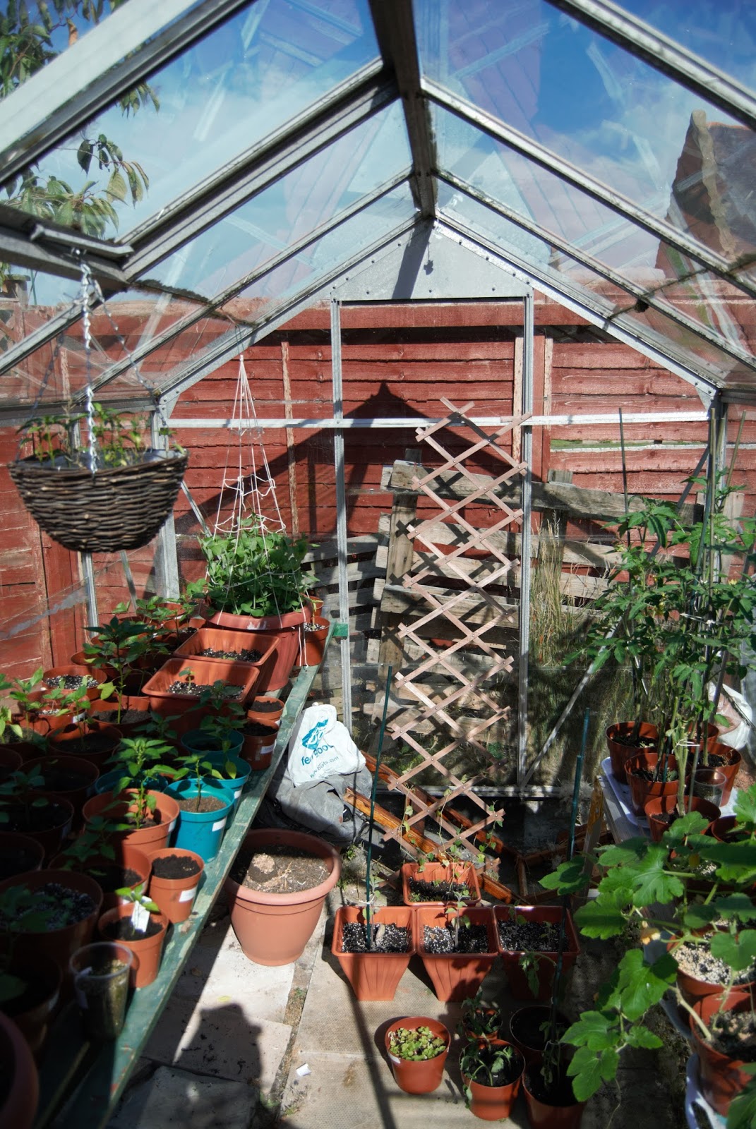 Grow my own Eden: Greenhouse Tour