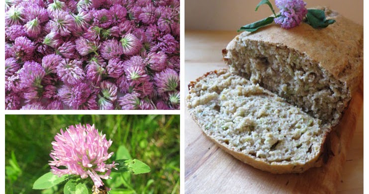 The Foraged Foodie: Savory, Fat-Free (Almost!), Foraged Clover Bread Recipe