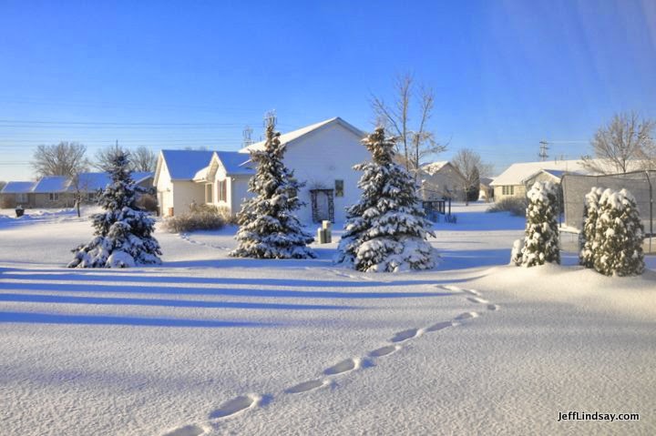 The Appleton Blog: Winter in Appleton - A Bit About Appleton, Wisconsin ...