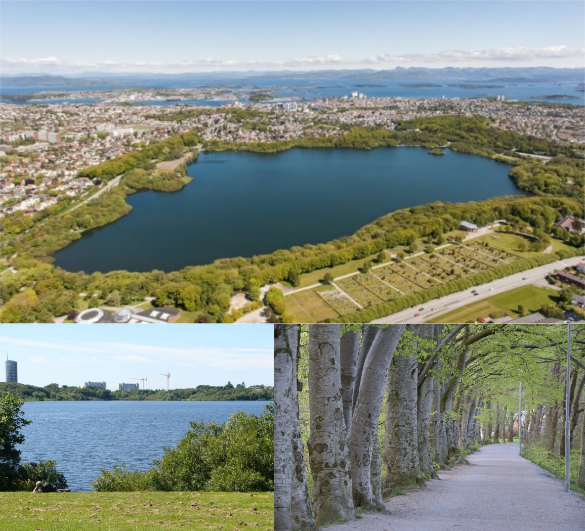 The Road Goes Ever On- Virtual Tour: 2017