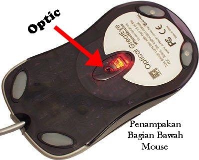 Jenis Jenis Mouse Dan Fungsinya