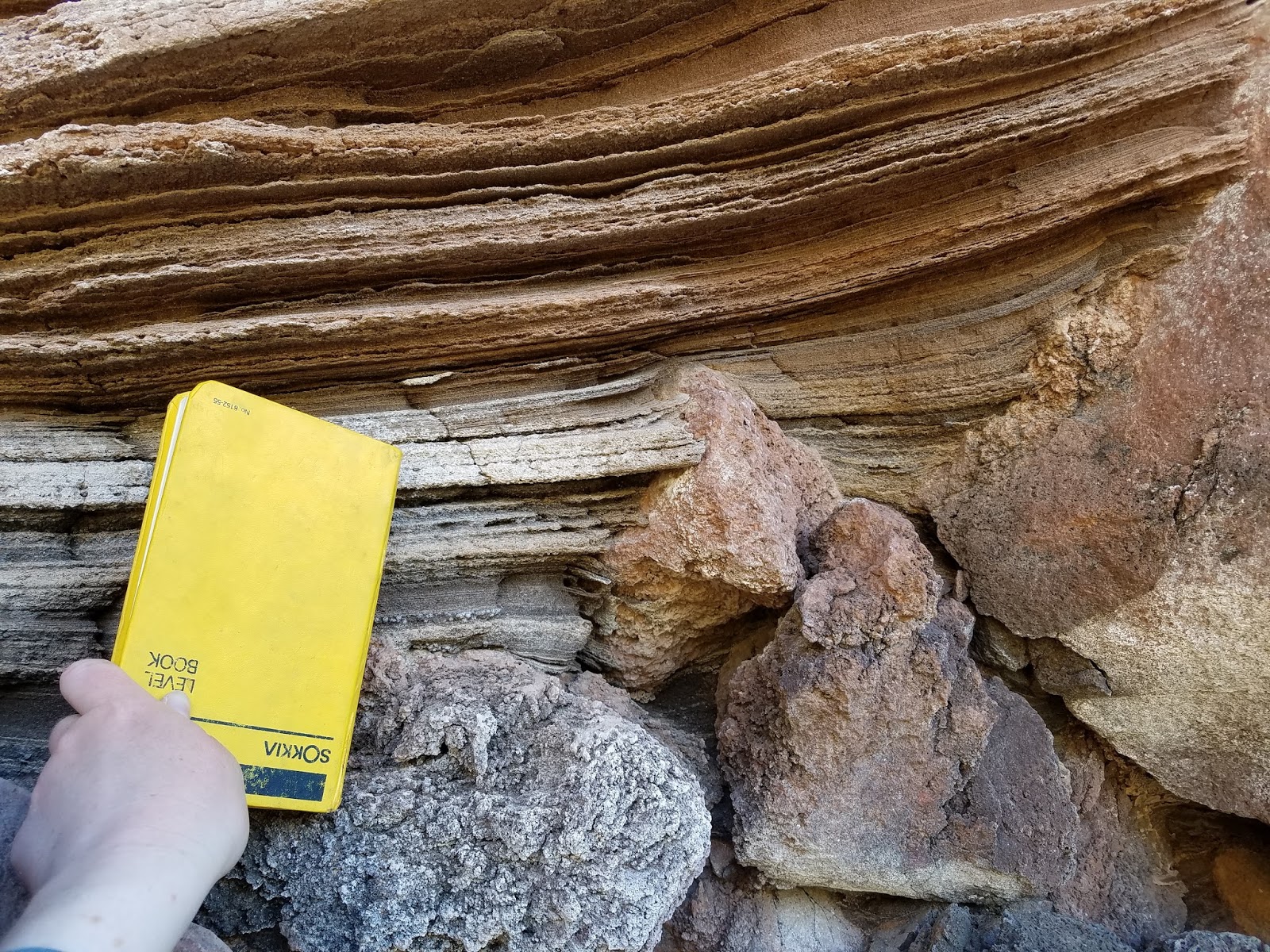 Where did all the geologists go? To the field!