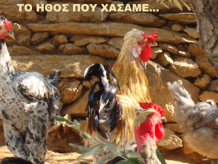 TΟ ΗΘΟΣ ΠΟΥ ΧΑΣΑΜΕ...: Καλημέρα και σήμερα...