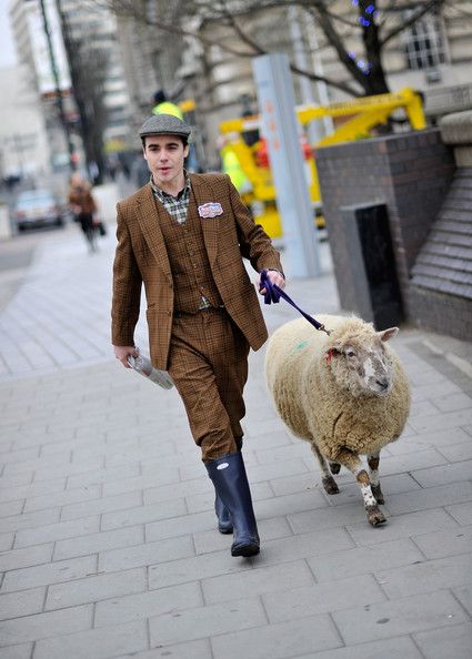 Shoalanda: Why Is Larry Stutts Fighting the Agriculture Center?