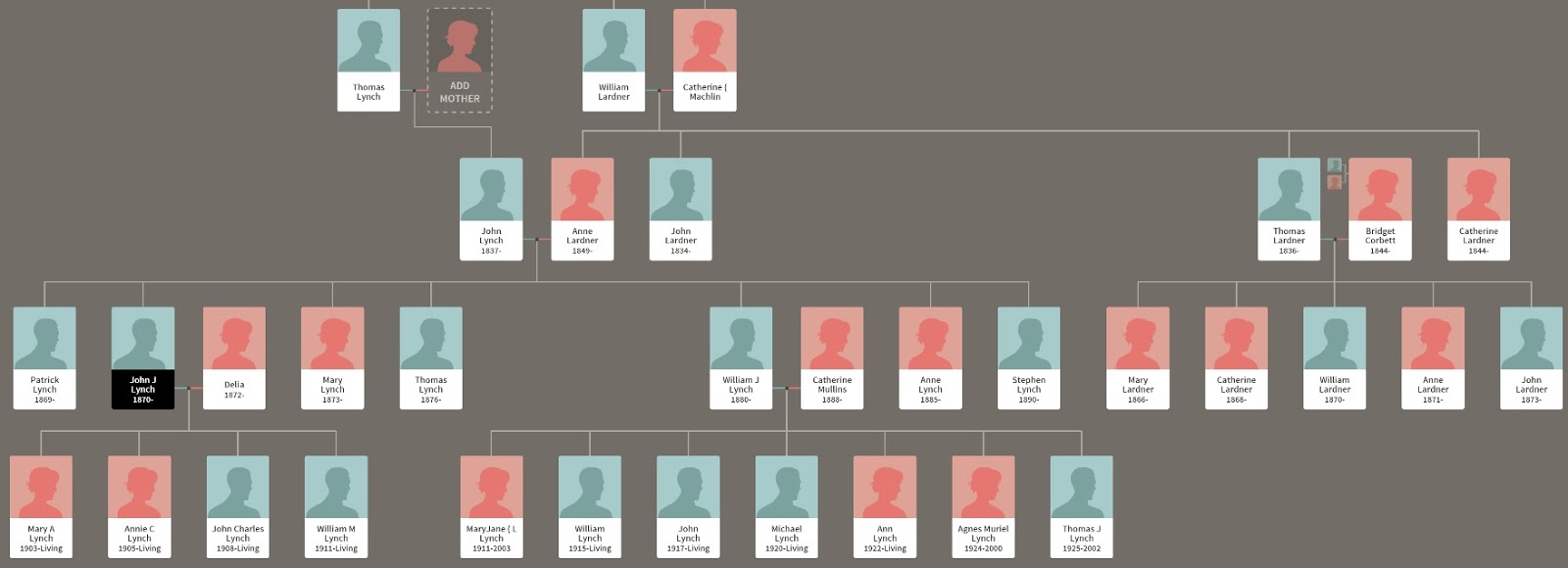 The Lardners of County Clare: Family of Anne Lardner and John Lynch ...