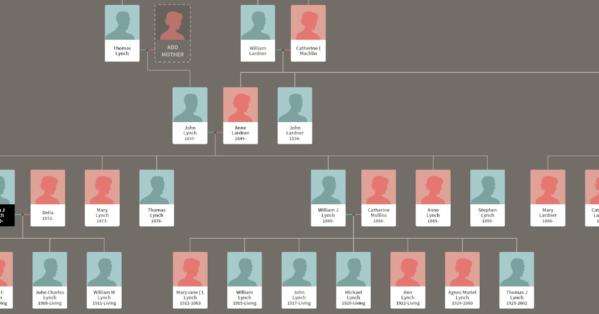 The Lardners of County Clare: Family of Anne Lardner and John Lynch ...