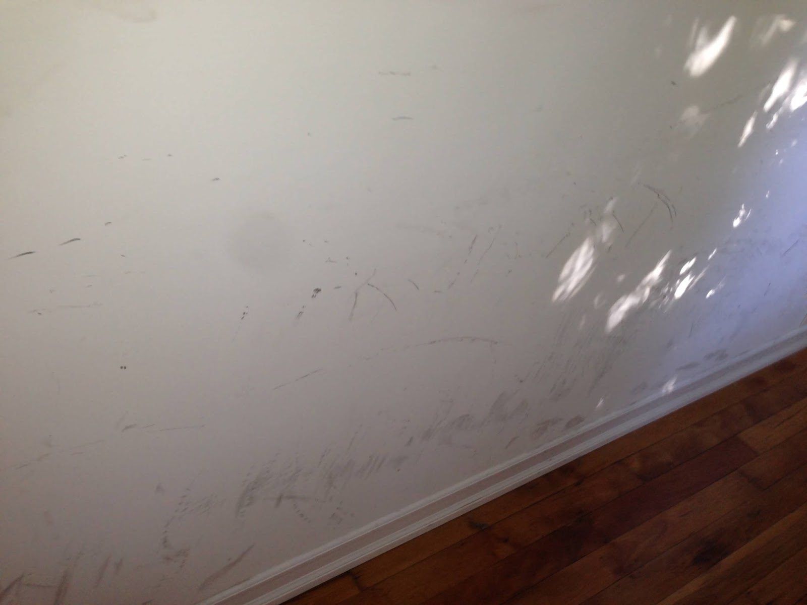 Best Landlord in NYC