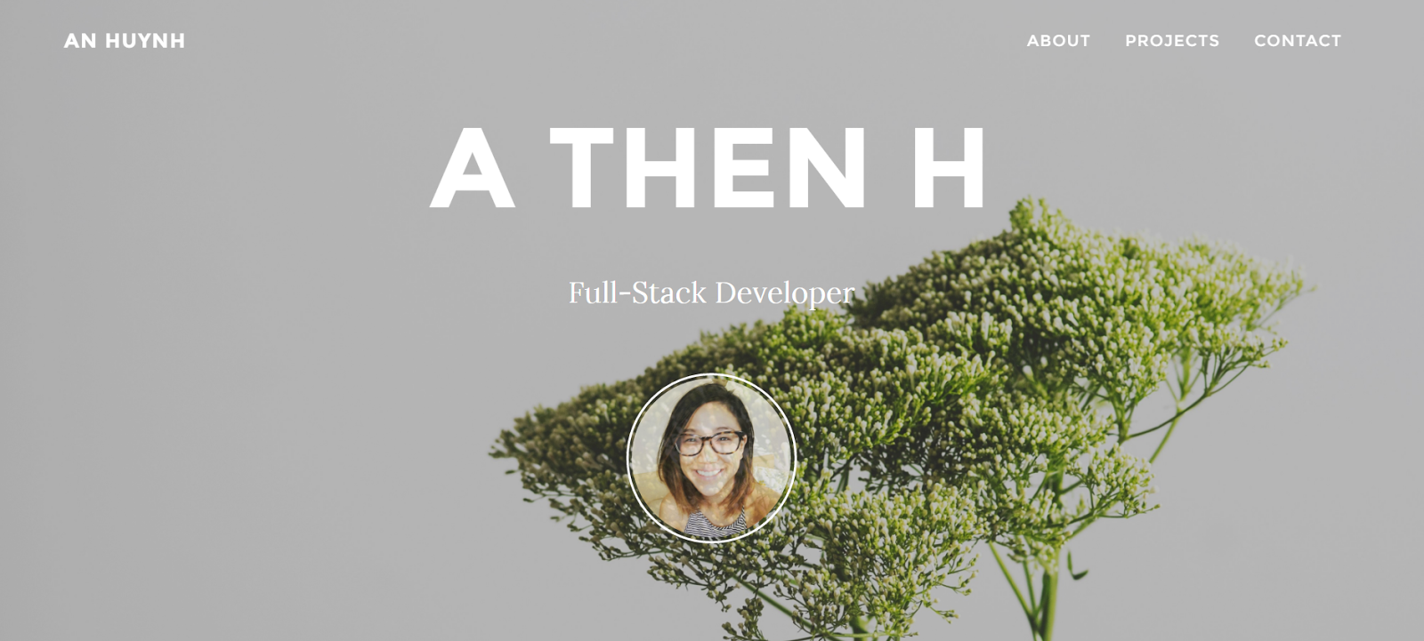 The Fancy Dev Blogger