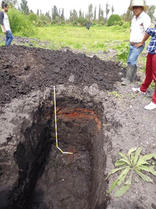 Suelos, ambiente y algo más: 8o Congreso SUITMA Suelos de zonas urbanas ...
