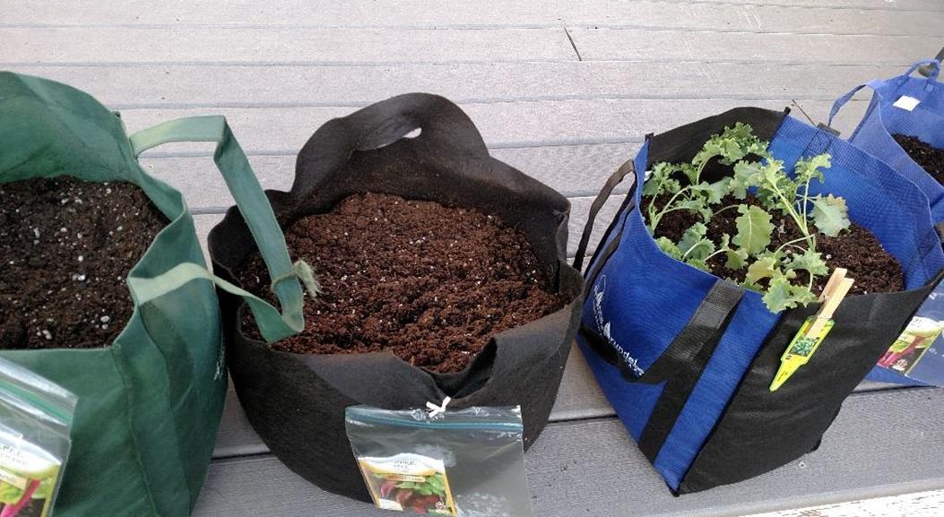 April is National Gardening Month…Let’s Get Gardening! / Eat Smart, Be ...