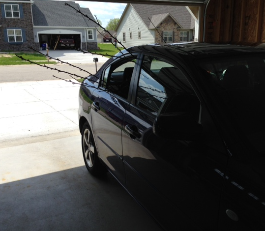 Gross Farms: Weekend Work: We Have Apple Trees!