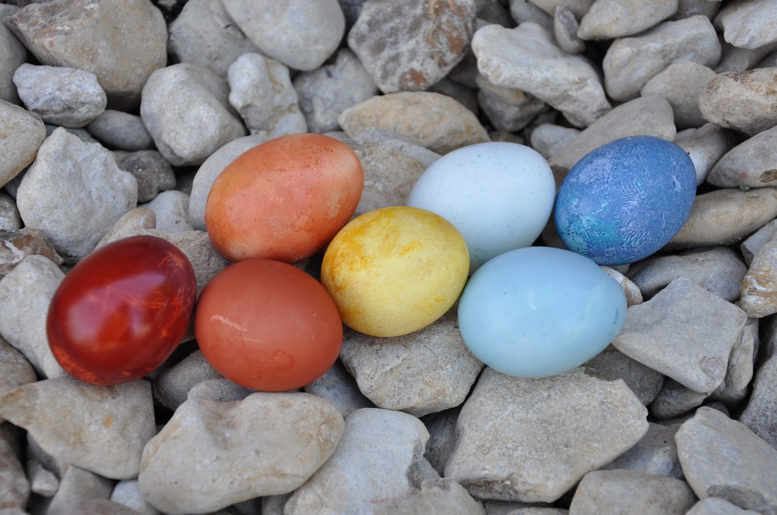Waltzing Matilda: Natural Dyed Eggs 2015