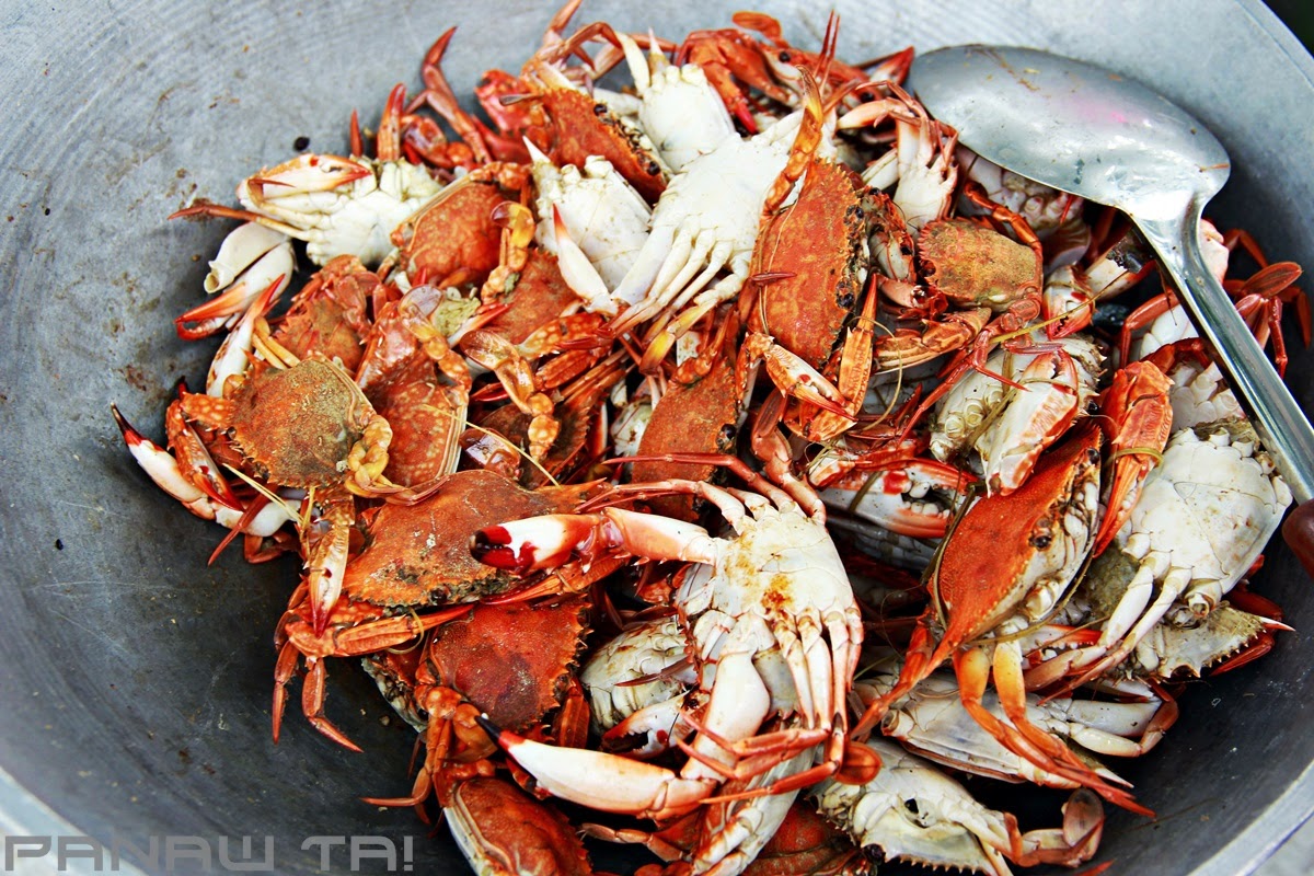 Panaw Ta!: Playa de Paraiso