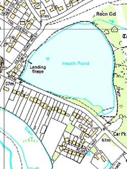 David D Williams: Petersfield and Irises - Heath Pond 40 years on