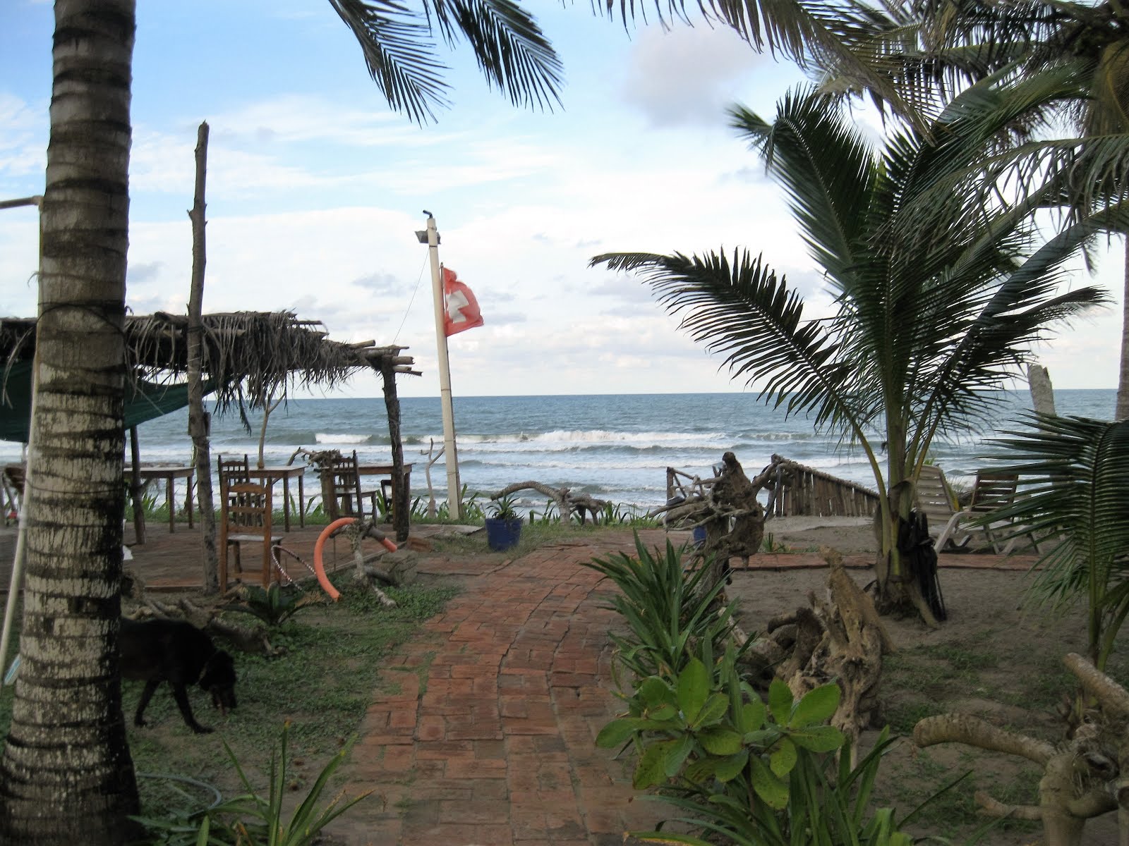 Belize Bound: Coco Loco