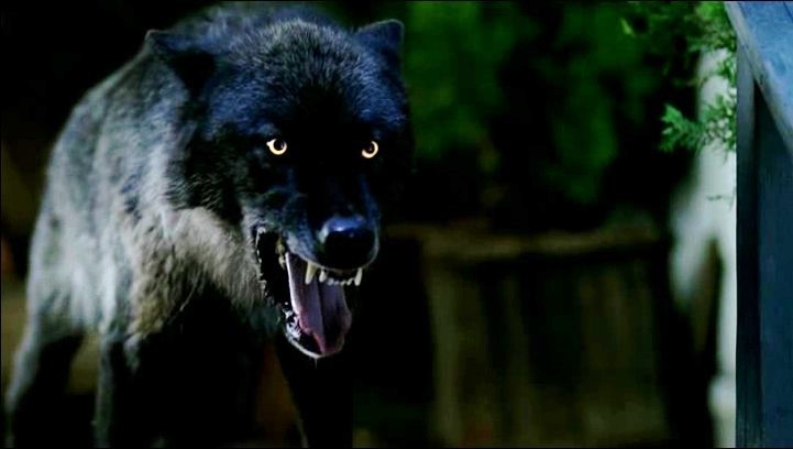 letters to a higher power: TV Show and Tell: True Blood Season 4 FINALE ...