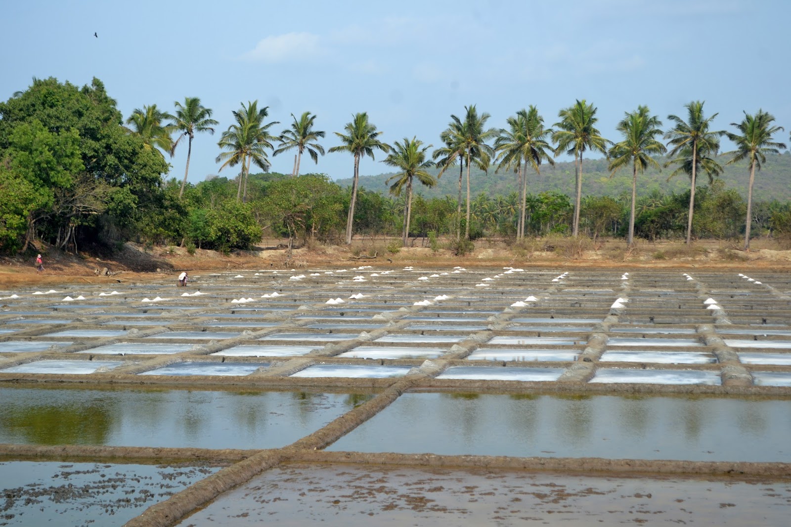 Salt pans were a common sight in the past but there are still some ...