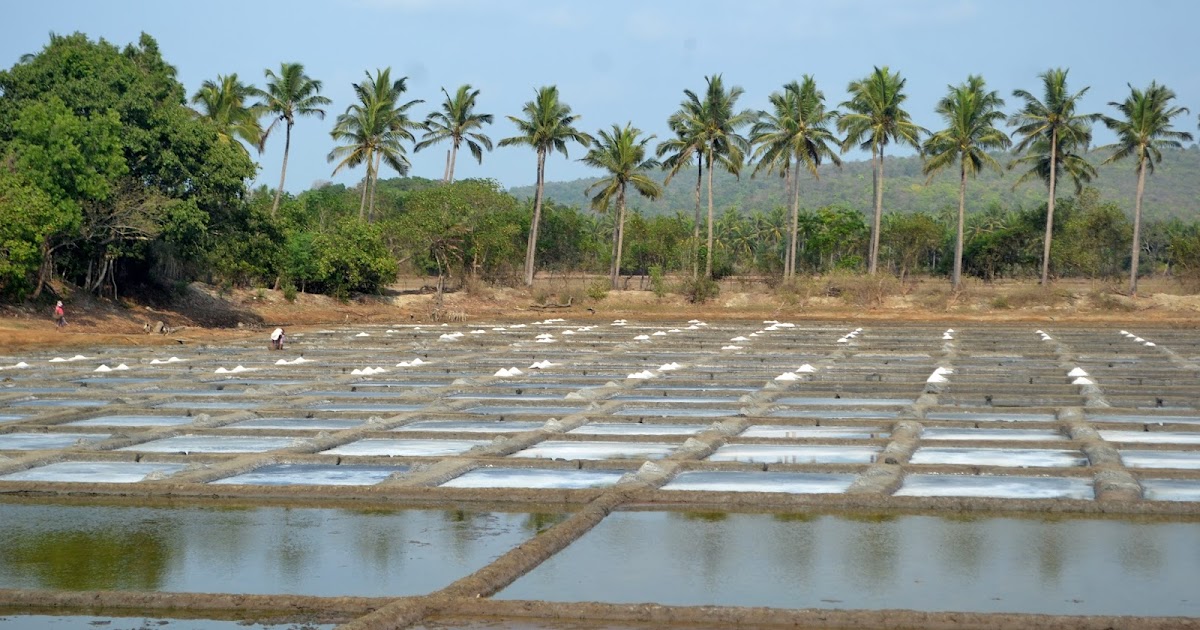 Salt pans were a common sight in the past but there are still some ...