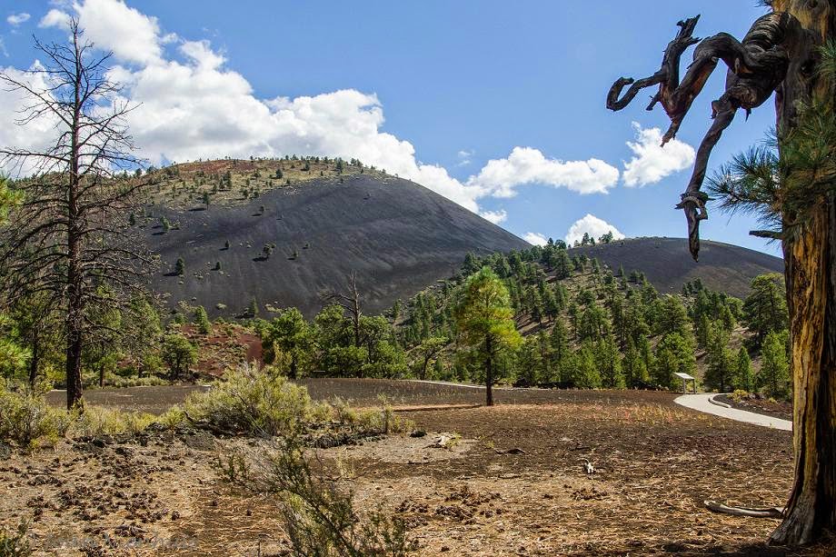 Pacific Northwest Photography: Arizona: Sunset Crater Volcano