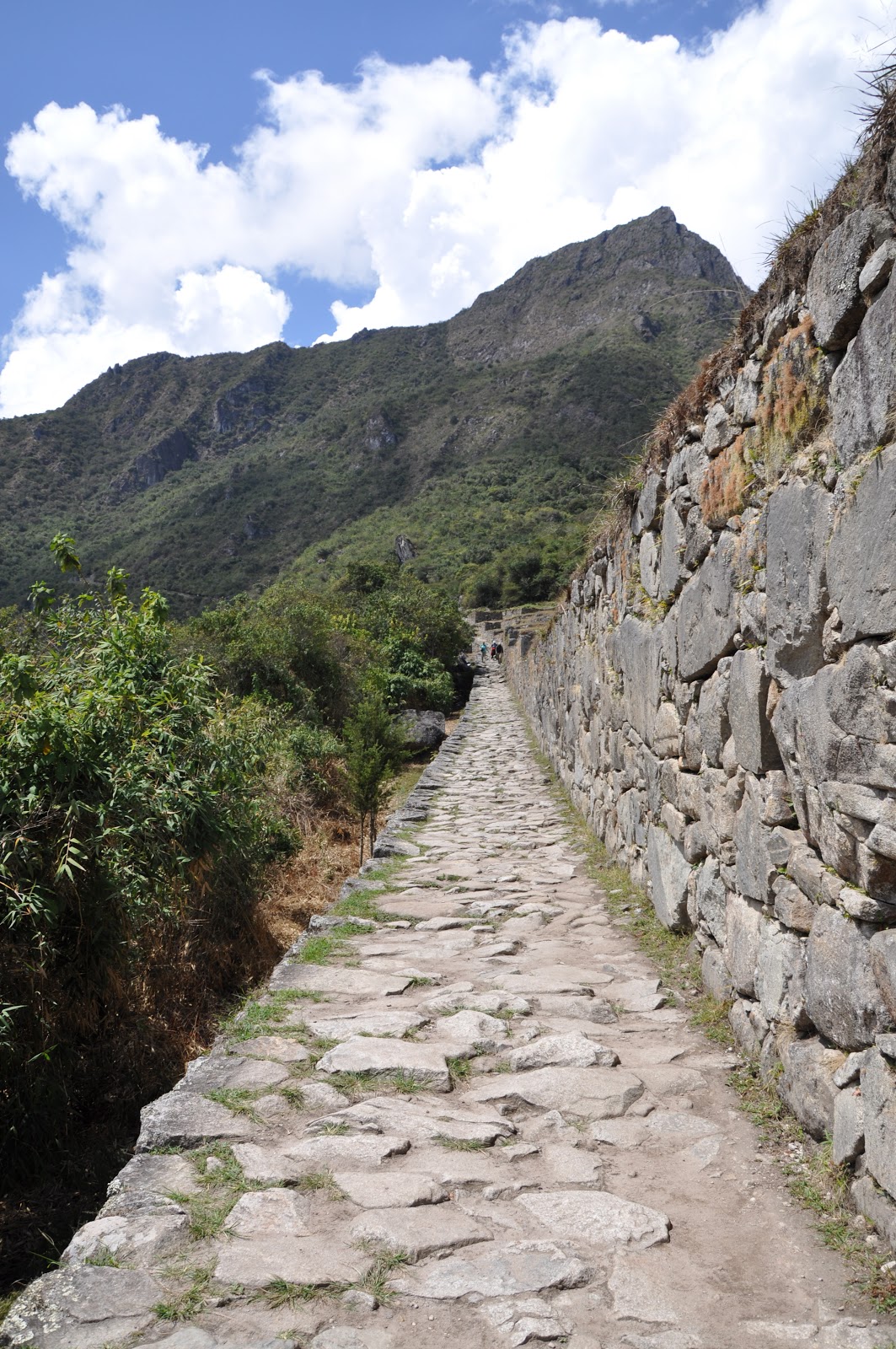 Travels with rarecat: Machu Picchu - the Sun Gate