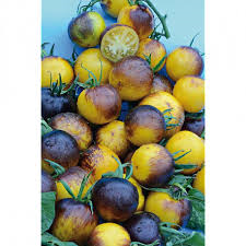 S.O.S. Grisbiche: août 2017