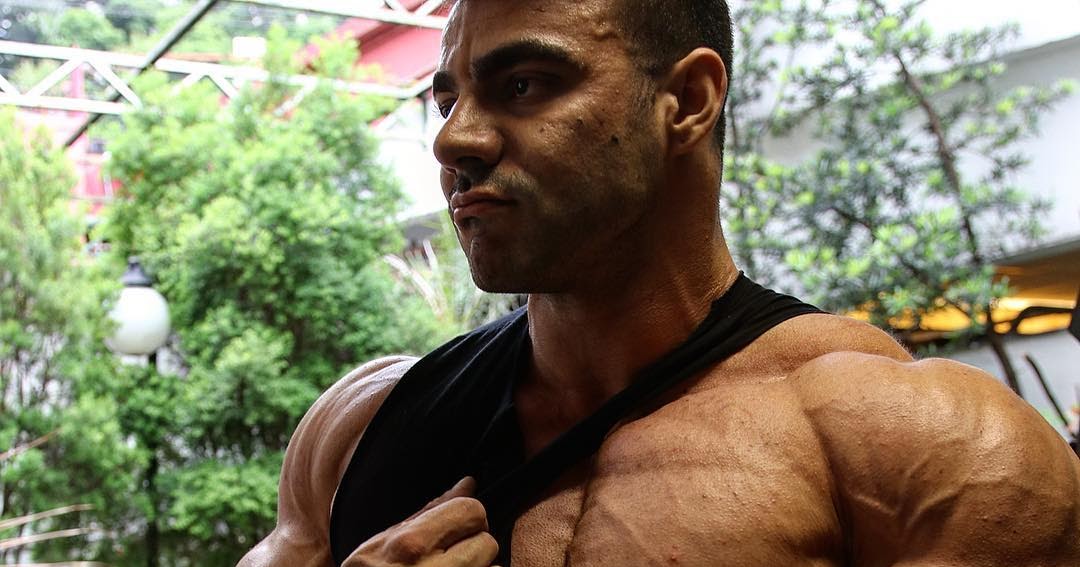 Muscle Lover: Brazilian bodybuilding super star - IFBB Pro Rafael Brandao