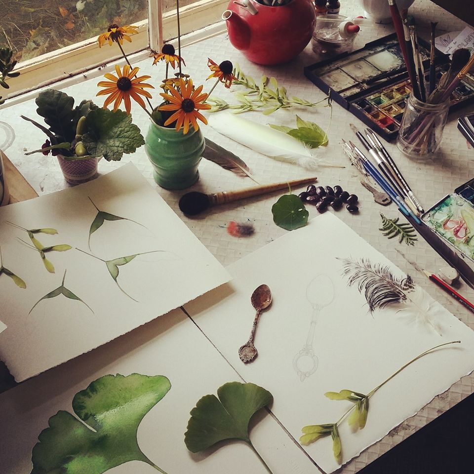 a little gentian: Artist Clare James