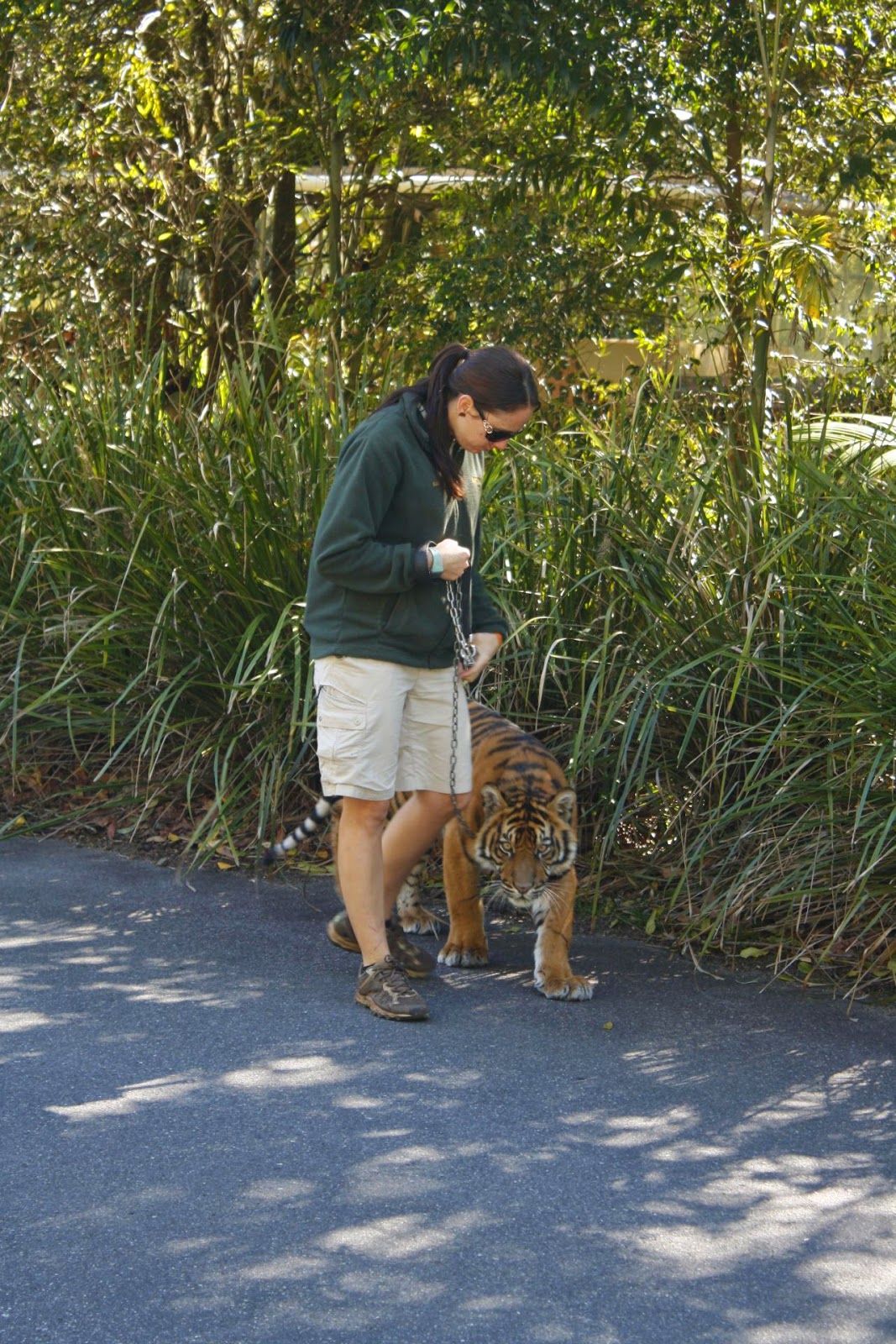 Crikey, mate! | Our Year In Australia