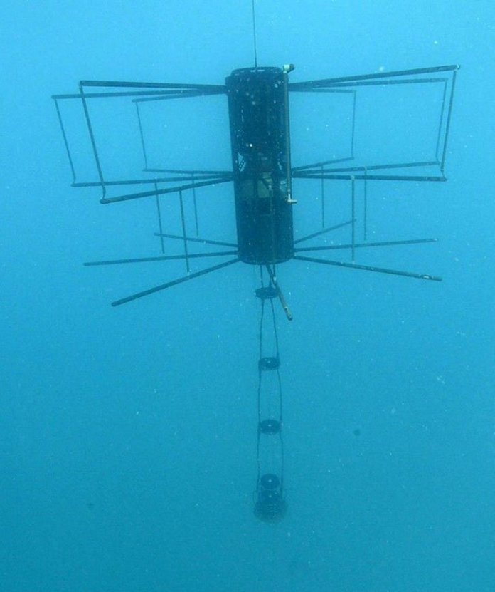 대잠전을 위한 자율 무인 선박 - Seagull Unmanned Surface Vessel (USV)