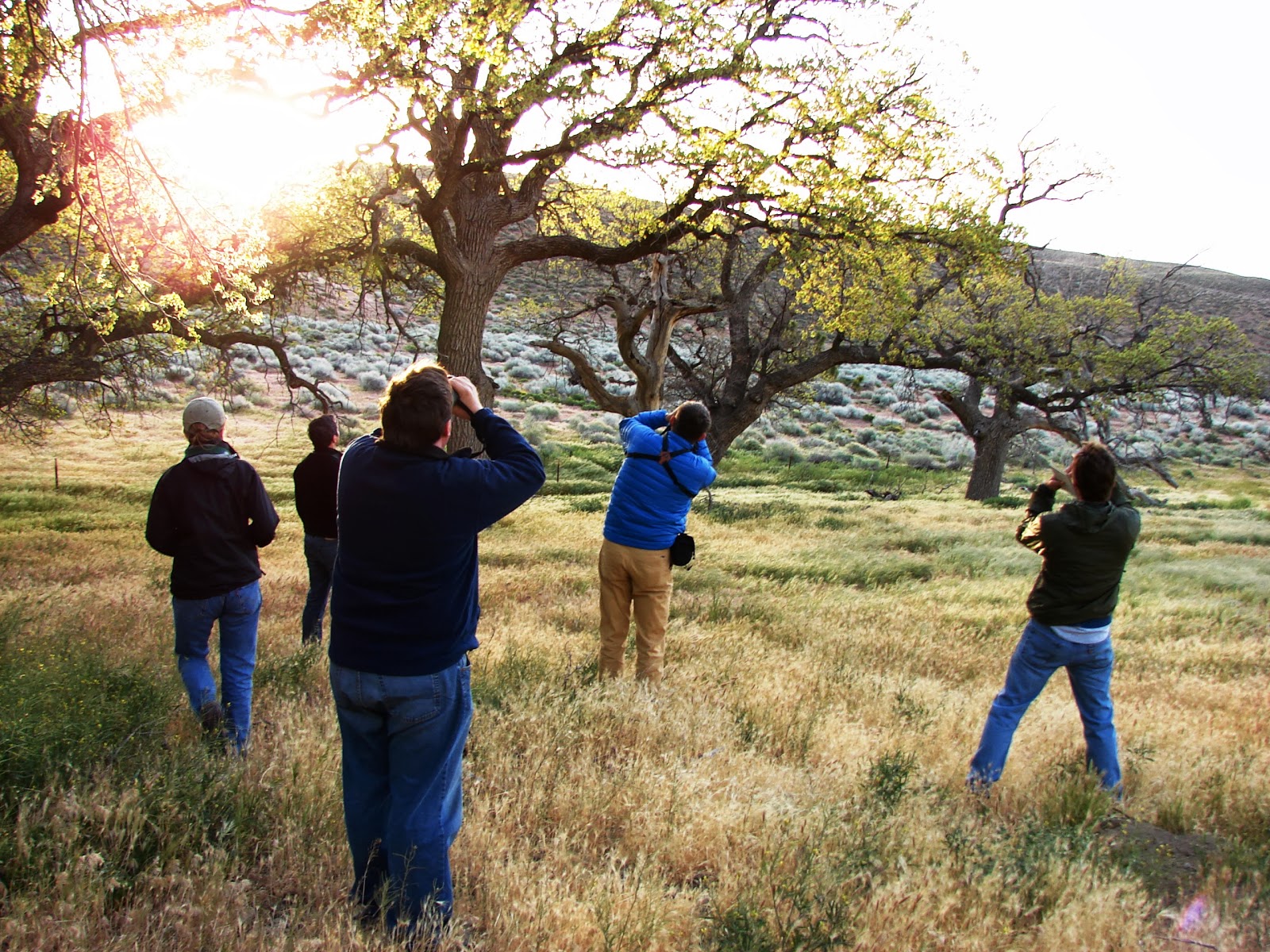 U.S. Important Bird Areas