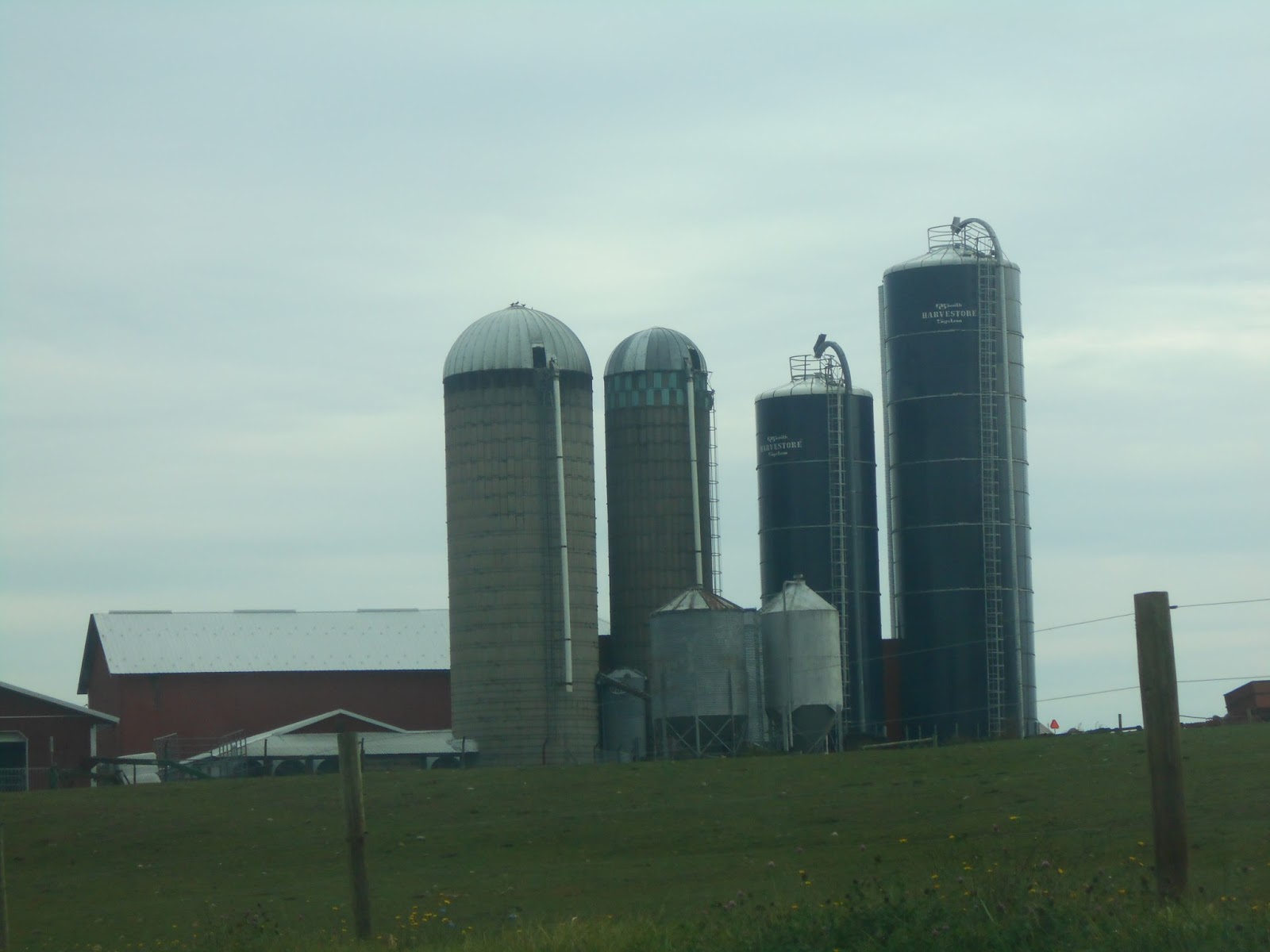 New York State of Mind: FIRST SILOS FOR 2018