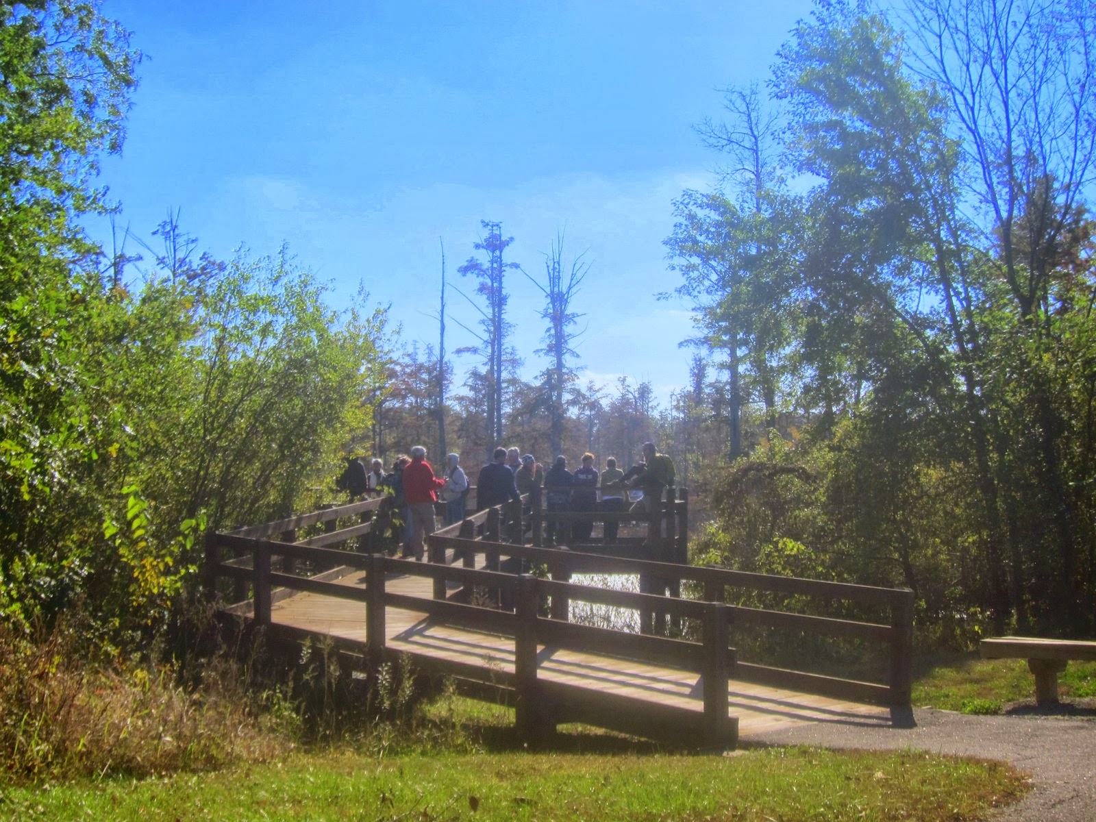 Expeditions by Tricia: ROAD SCHOLAR EXPEDITION TO CACHE RIVER NATURAL AREA