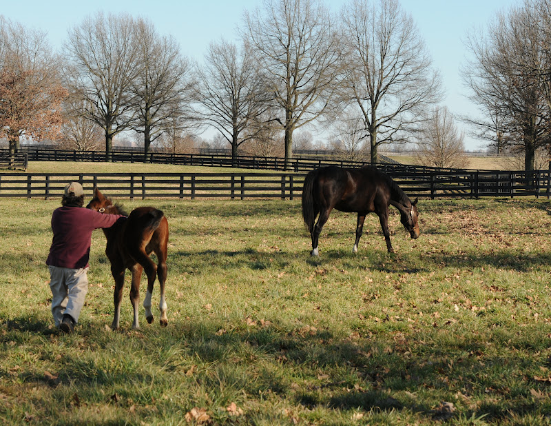 Two Minute Lick: Remembering Mighty Rachel