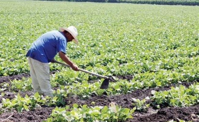 Las ciencias Sociales en la casa: TEMA 1.2: CARACTERÍSTICAS DE LA ...