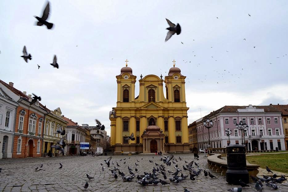 Domul Romano Catolic, Timisoara
