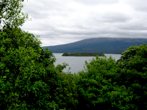 “Ka Mate, Ka Mate’ the Origin of Te Rauparaha’s haka