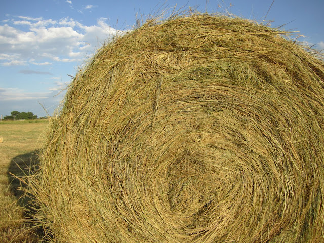 the celtic cowgirl: Hay making
