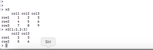 Accessing the Matrix Elements in R - OindrilaSen