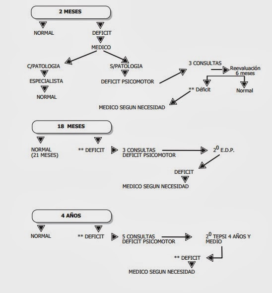 Competencias y técnicas para la evaluación del desarrollo psicomotor ...