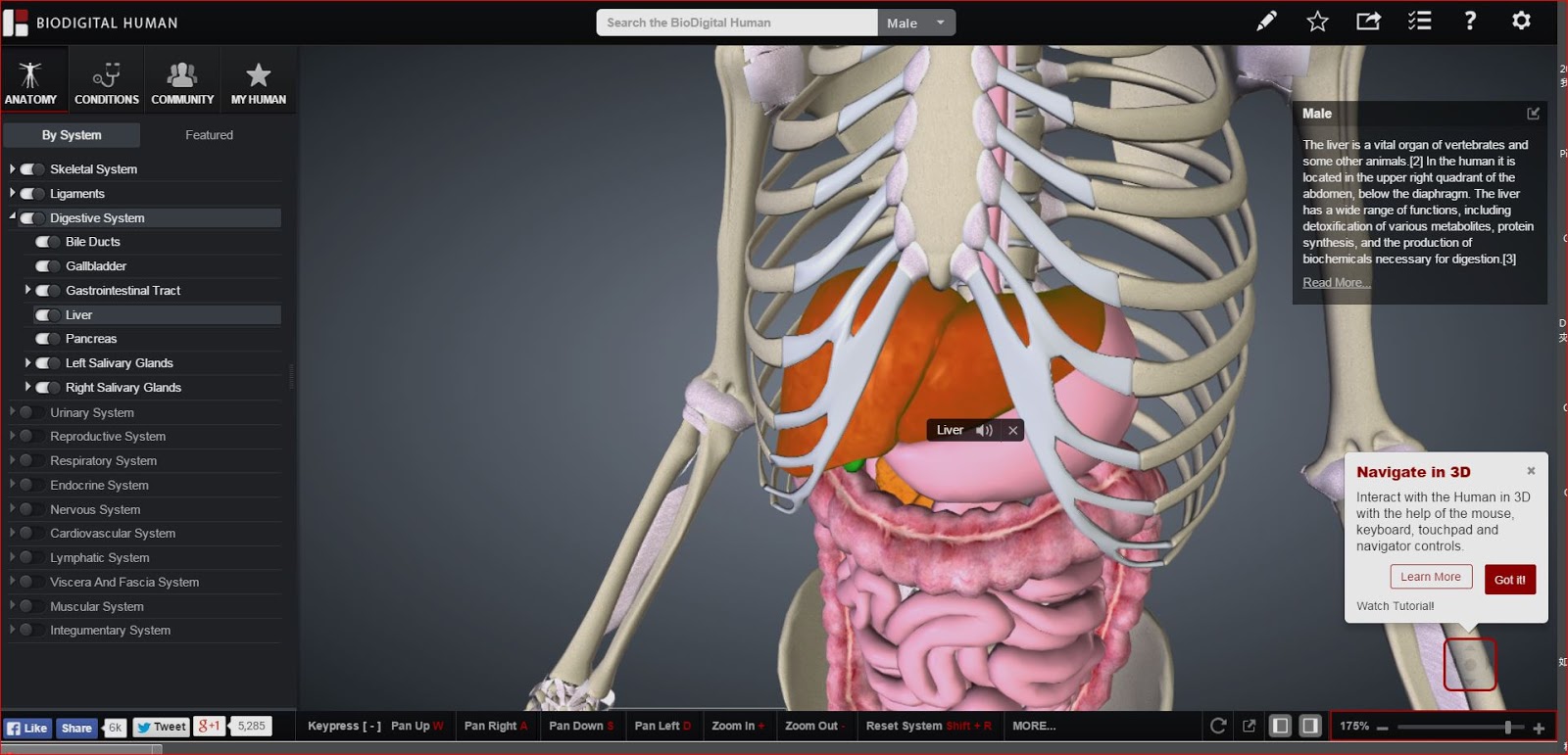 Taichung Blog @ Blog: 【分享軟體】【人體3D軟體】【BioDigital Human 2.0】BioDigital ...