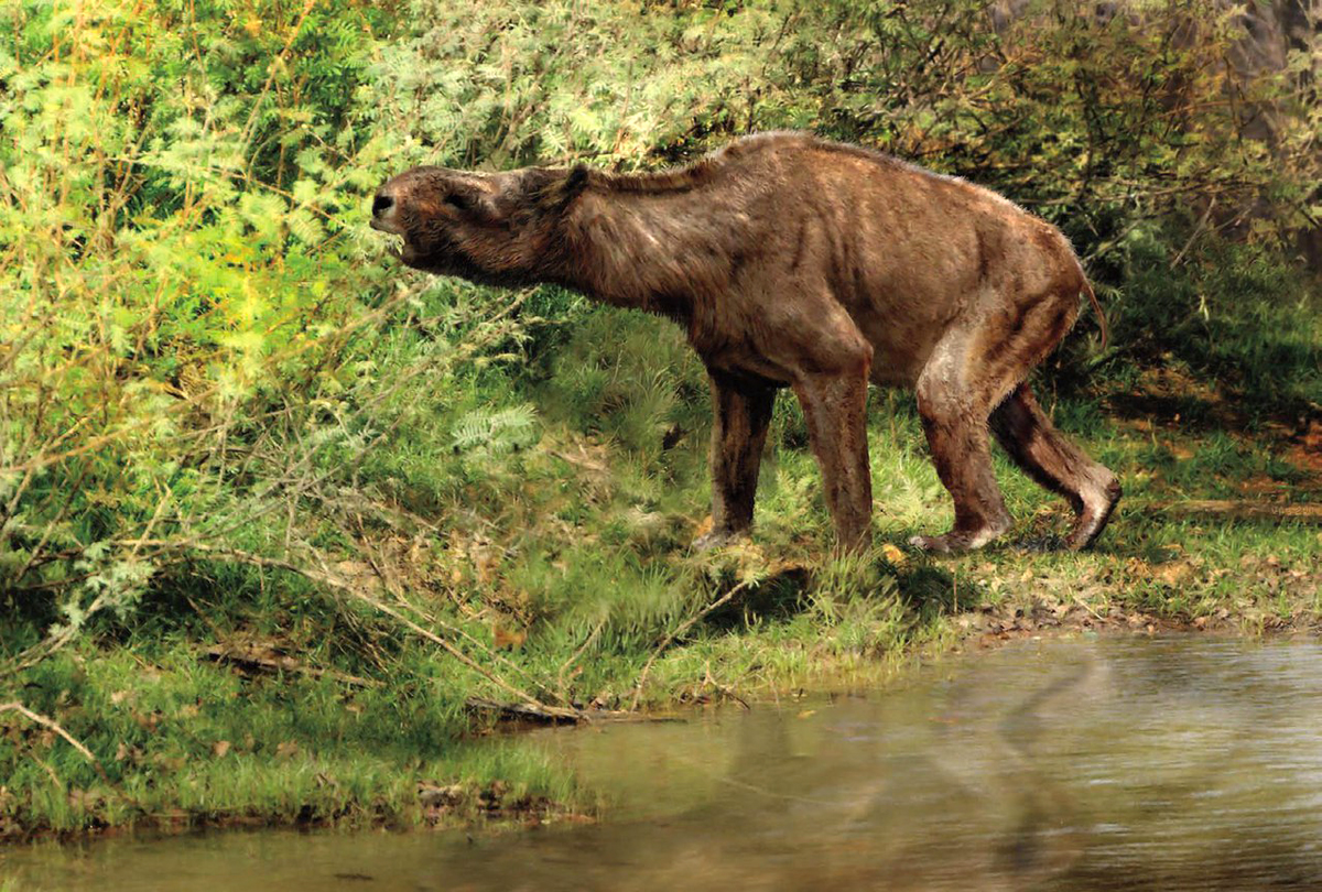 The Magic cafe: Исчезнувшая Южная Америка Велизара Симеоновски. Часть I ...