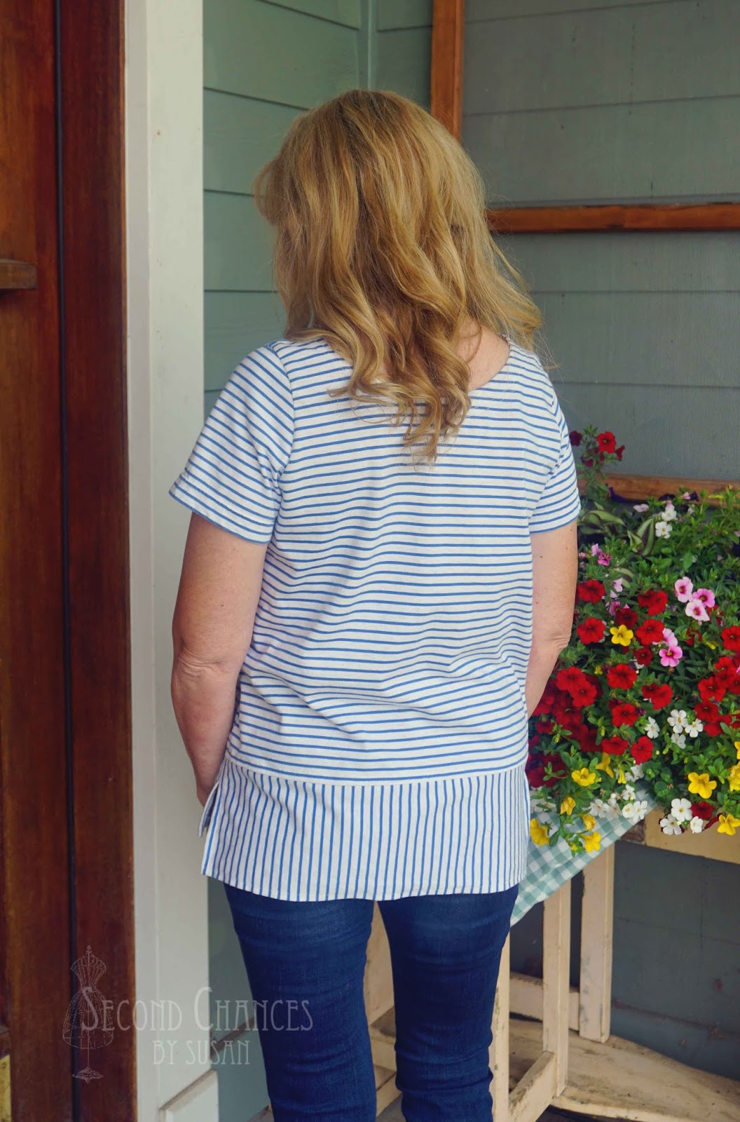 Second Chances by Susan: 2018