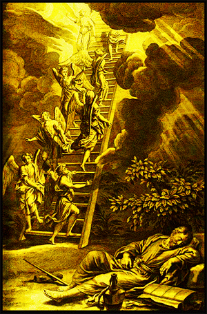 Reflections: The Ladder Myth