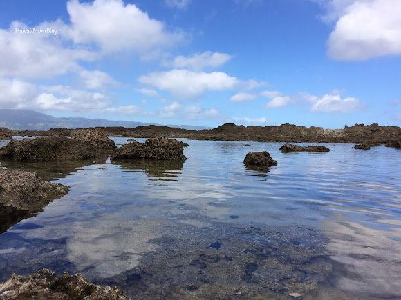 Hawaii Mom Blog: Pupukea Tide Pools