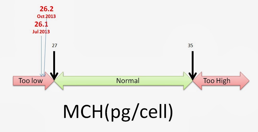 My Metabolic Syndrome: My superior vegan nutrition blood tests results